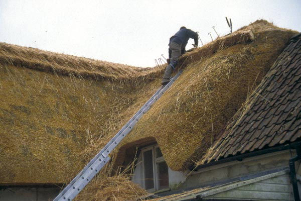 Rethatching a roof....after trimming, a wire mesh screening is used to ...